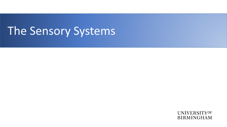 Section 3 The Sensory Systems