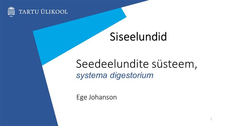 Siseelundid I (Seedeelundite süsteem)
