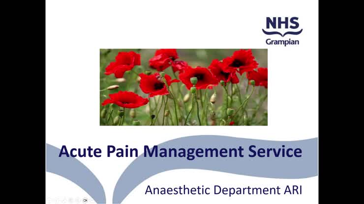 Acute Pain Management Service
