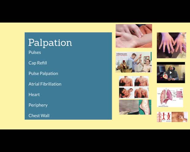 Patient Assessment- Cardiac Assessment - 4 - Palpation