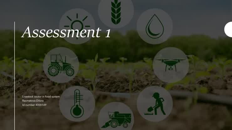 food systemm raxmatova dilora