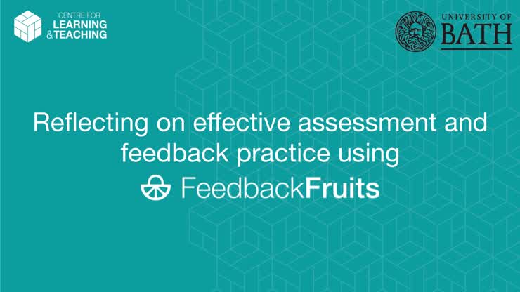 FeedbackFruits_LucyNoble