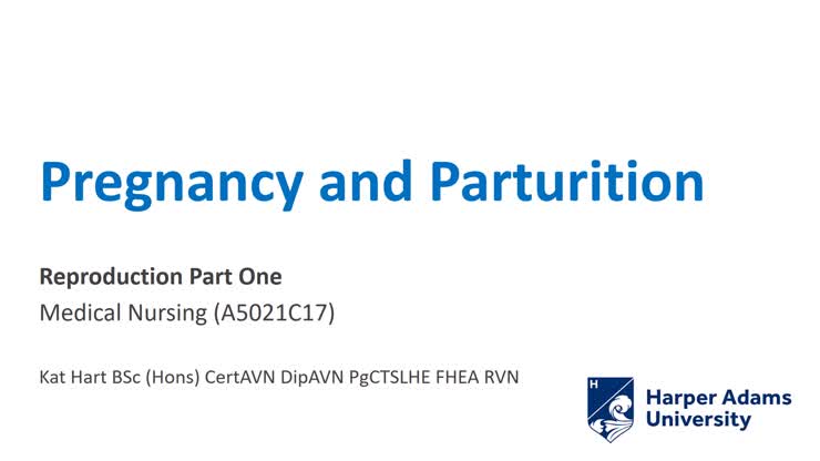 Pregnancy and Parturition