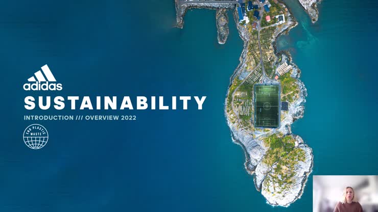 adidas: Sustainability Strategy and the New Cotton Project