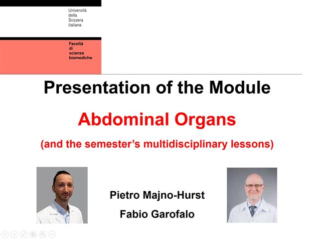 Presentation of the module - Abdominal organs
