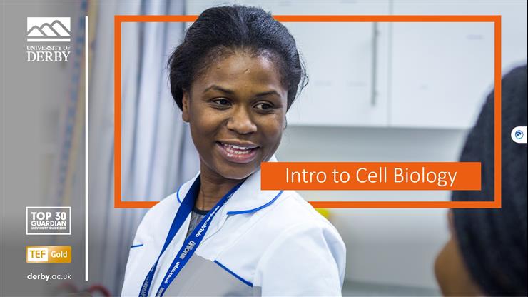 Intro to cell biology