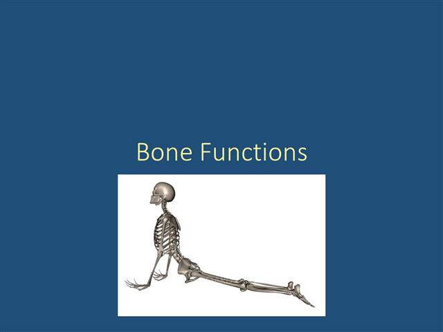redo of bone function