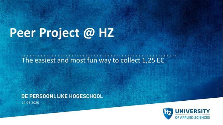 Introduction to Peer Project 2020-2021