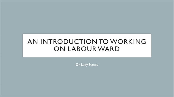 An Introduction to Working on Labour Ward