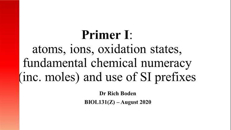 Primer I (moles, atoms, ions etc)