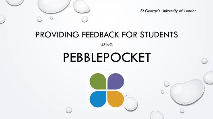 SGUL_PebblePocket for Assessors