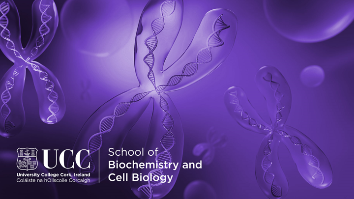BSc (Hons) Biochemistry UCC. Professor Rosemary O'Connor.