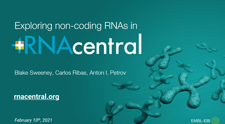 Exploring non‐coding RNAs in RNAcentral