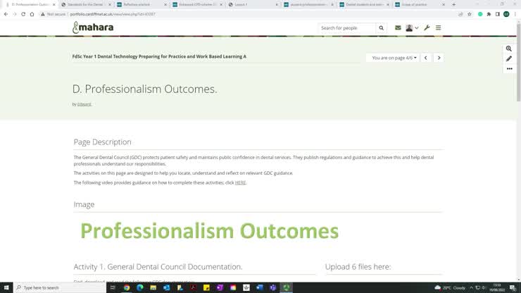 Mahara Page D: Mentor Guidance