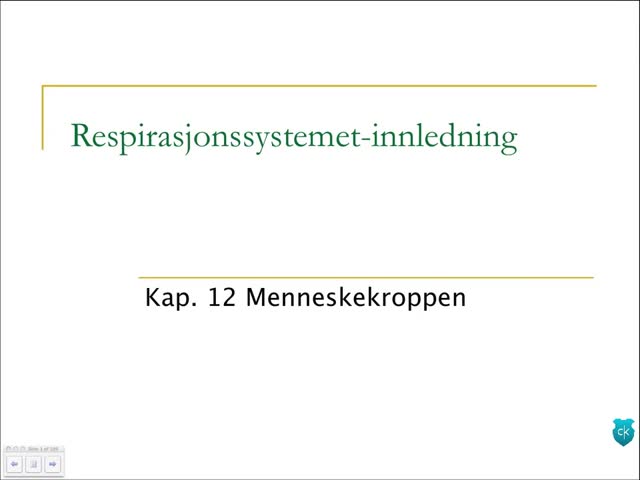 01. Respirasjonssystemet_innledning