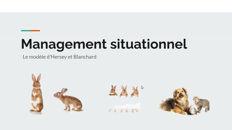 Management situationnel Hersey et Blanchard