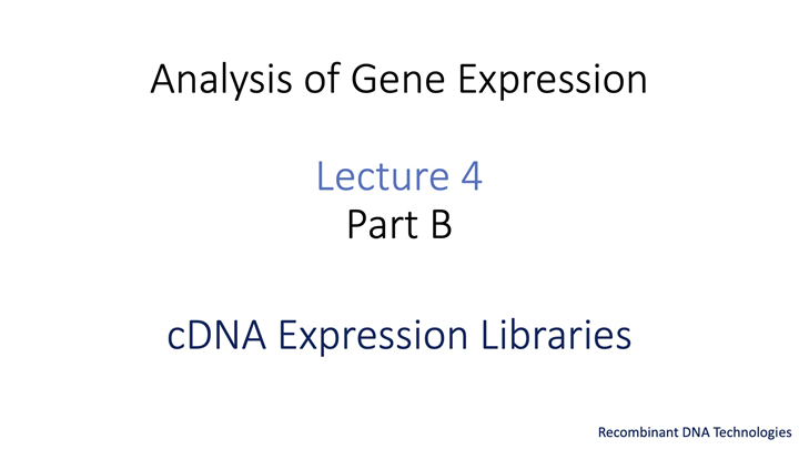 Lecture 4.2 cDNA Expression Libraries