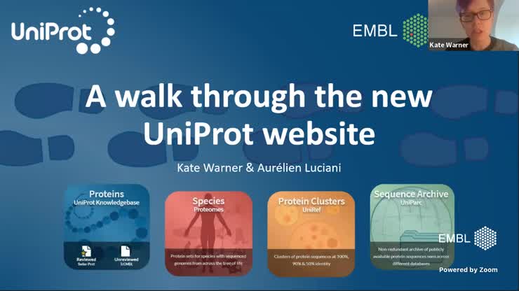 A walk through the new UniProt website