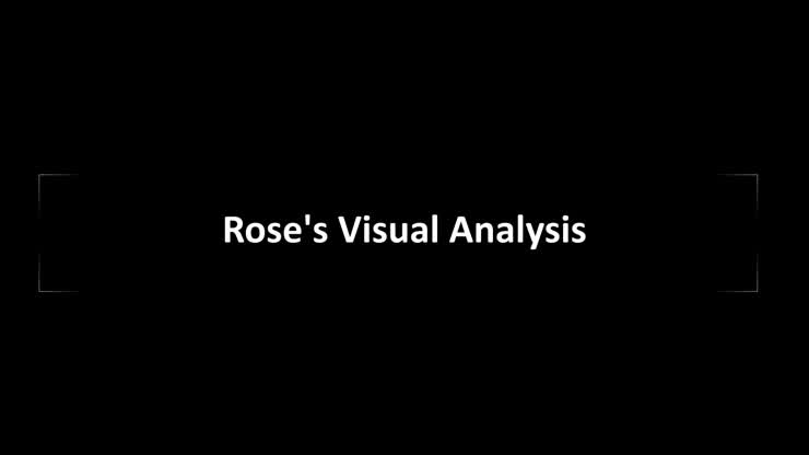 Rose Visual Analysis