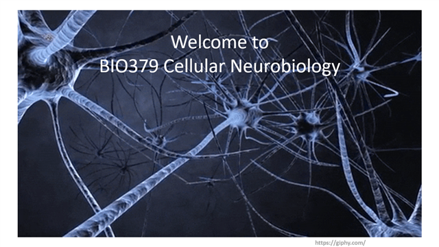 Introduction to Cellular Neurobiology 30 September 2025 at 17:01:27