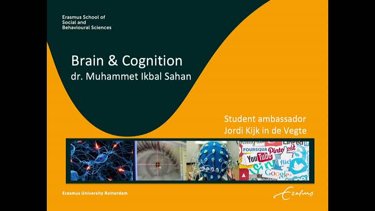 Brain and Cognition / Brein en Cognitie - Master in Psychology