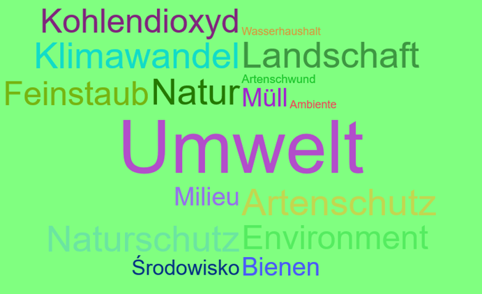 4-Umwelt
