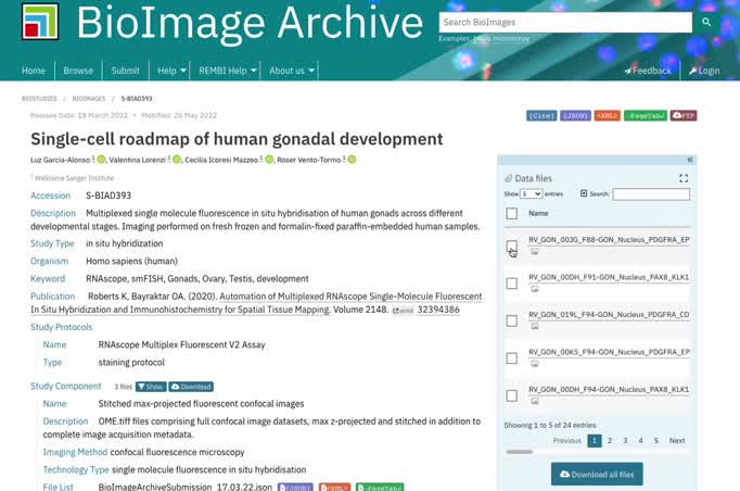 BioImage Archive web download_default