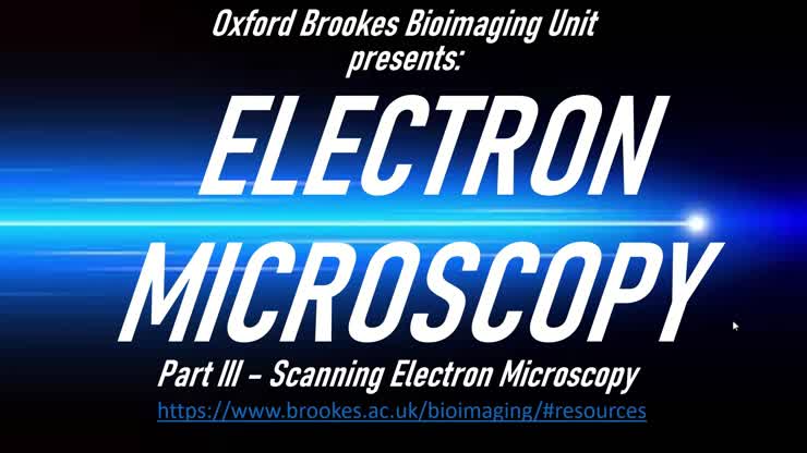 Electron Microscopy course - Part III - Oxford Brookes Bioimaging