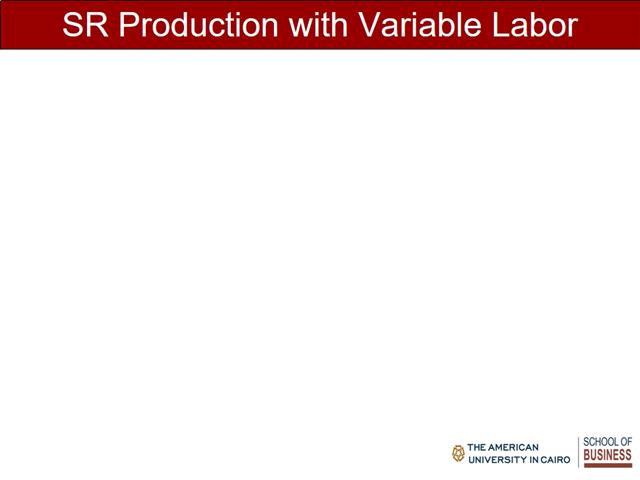 Lecture 3- Profit Maximization in SR