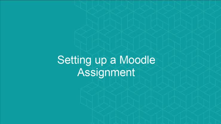 Moodle assignments setting up
