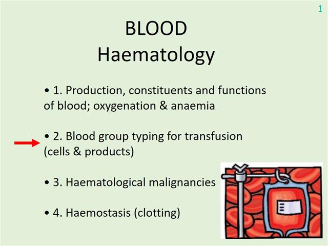 Haematology 3; 25 March 2019 at 14:58:28