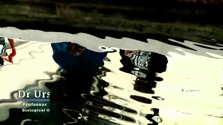 Ursula Witte and Anni Makela