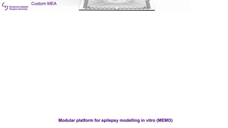MEMO platform_video