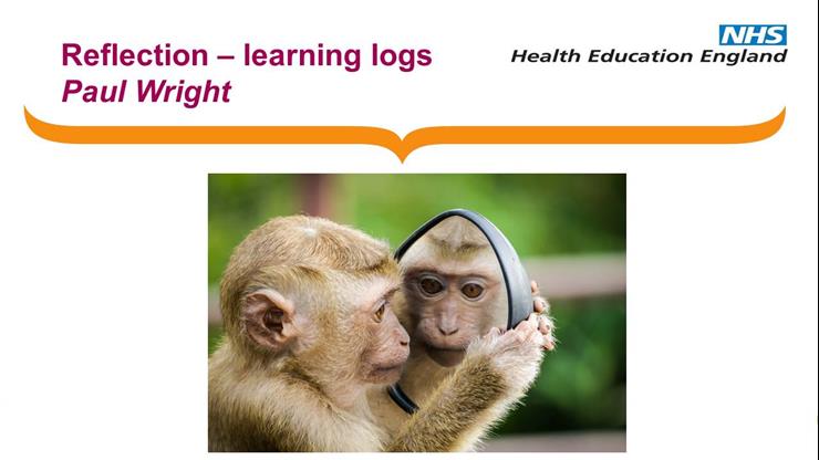 ADVANCED VIDEO 3 - Reflective Log Entries