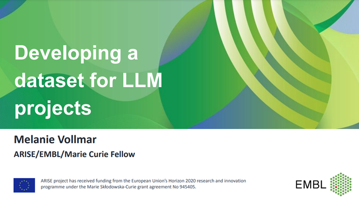 Developing a dataset for LLM projects