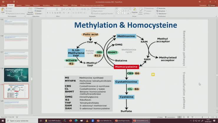DU MAPS Module 4 - Dr BUY - 19/09/2024_14h