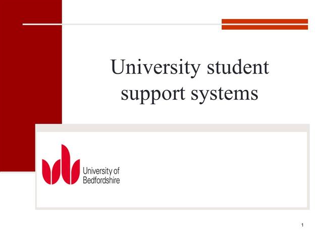 University support systems