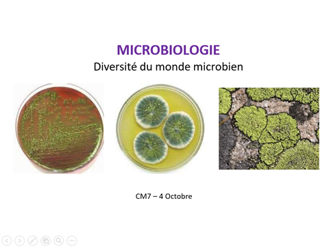 Diversité du monde microbien CM7