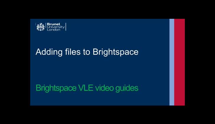 Adding files to Brightspace