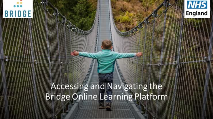 Accessing Bridge video
