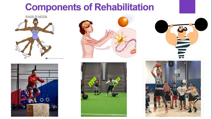 Exercise Rehab Recording 3: Components of Rehab