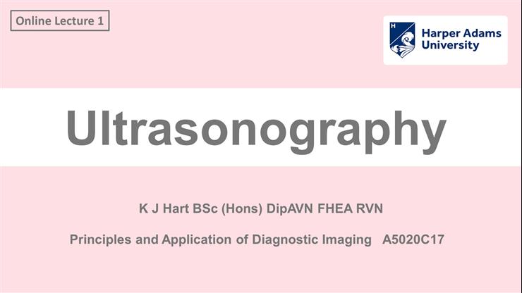 Ultrasonography 1