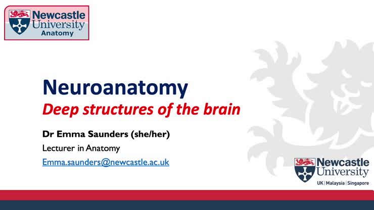 Case 19 Deep structures of the brain