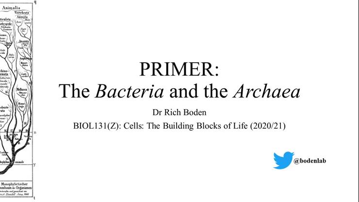 PRIMER: the Bacteria and the Archaea