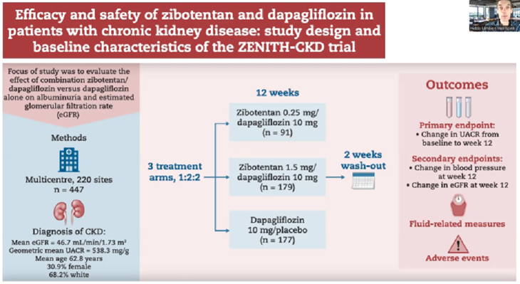 Efficacy and safety of zibotentan and dapagliflozin in patients with ...
