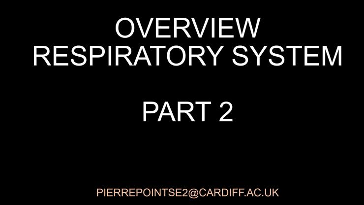 Overview of the respiratory system Part 2
