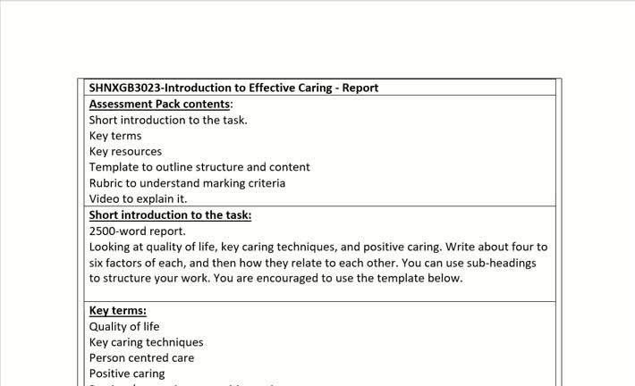 Report - Introduction to Effective Caring Video
