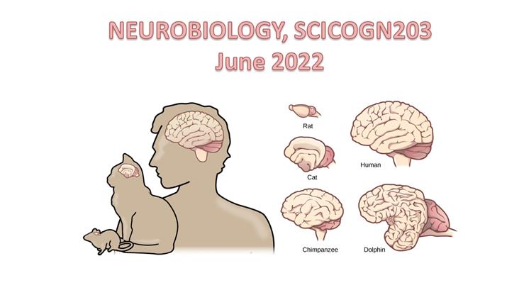 Lecture Neurobio Feeding disorders