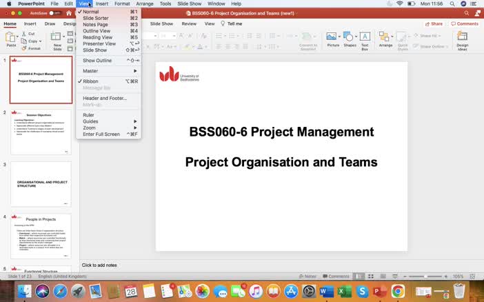 BSS060-6 Project Organisation and Teams