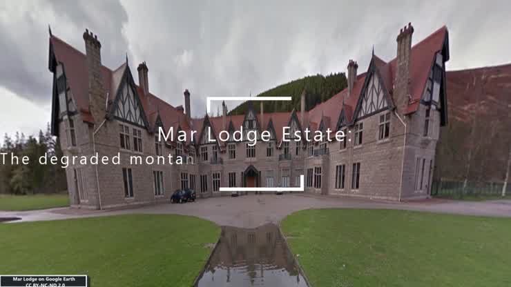 Mar Lodge Estate, Degraded Montane Woodland - Group 12